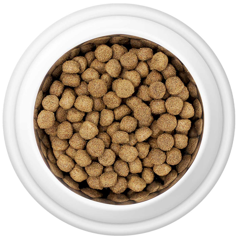 Original Dry Dog Food 300g Sample for Working and Active Dogs | Country ...